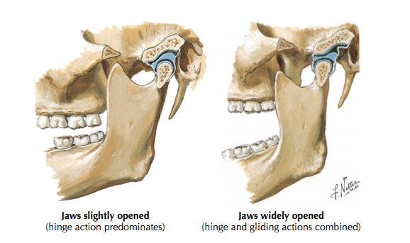 India's No.1 Best TMJ Replacement Hospital In India